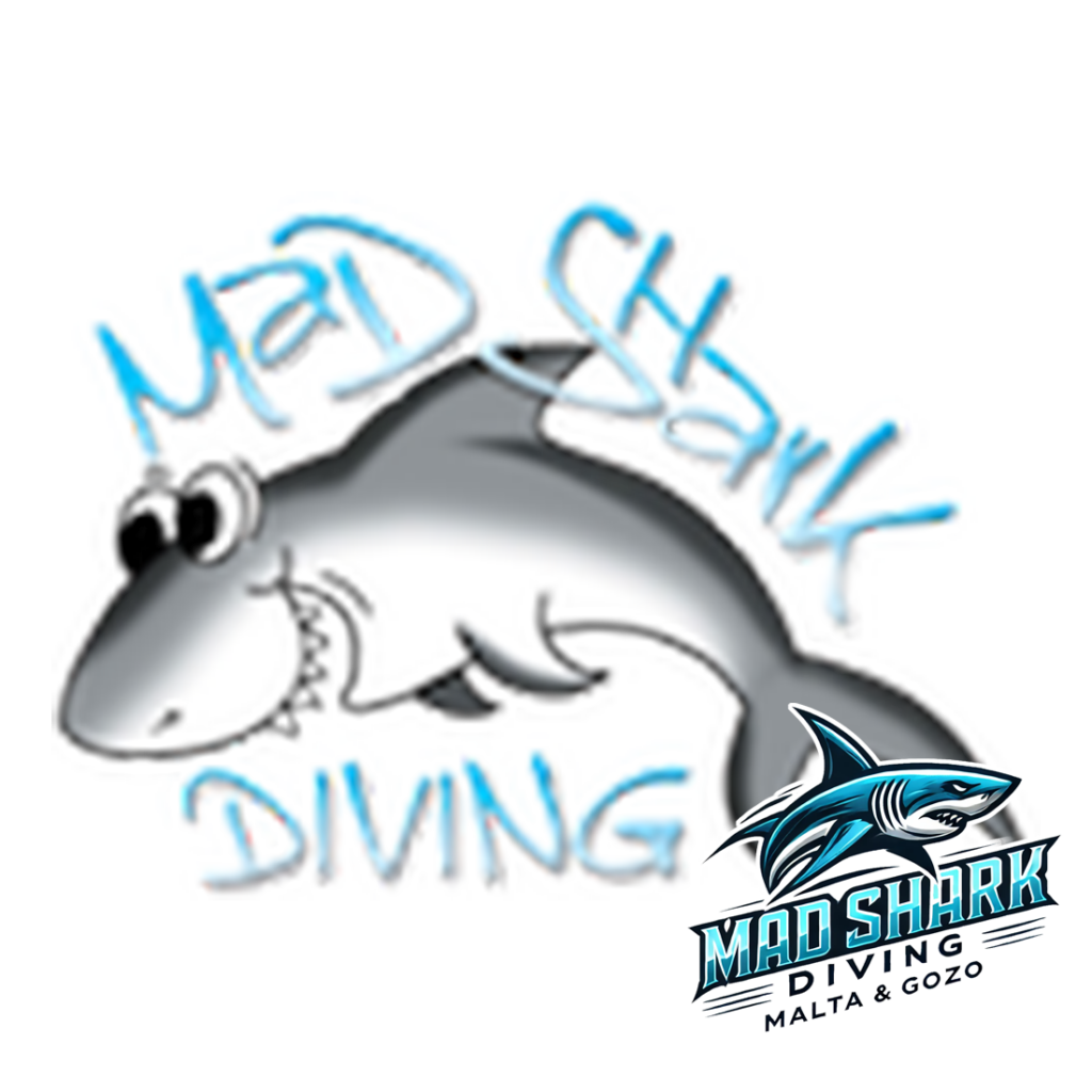 Mad Shark Diving - Home